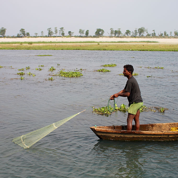 About Koshi Basin Programme - ICIMOD