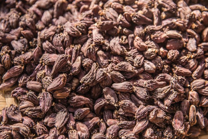 Promoting mountain niche crops: large cardamom - ICIMOD