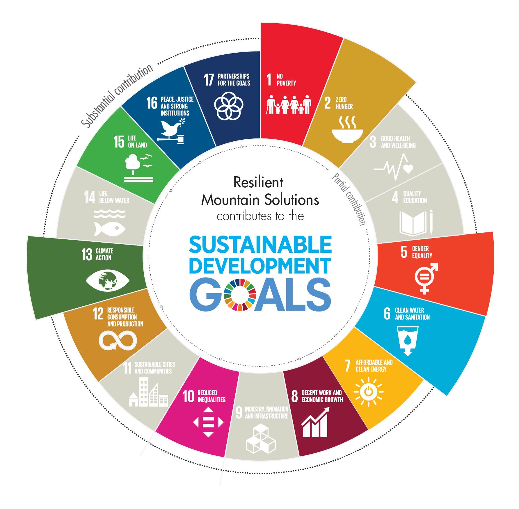 Sustainable Development Goals Case Study