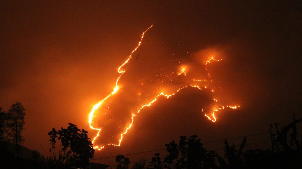 Putting out fires: Predicting and curbing forest fire damages in Nepal ...