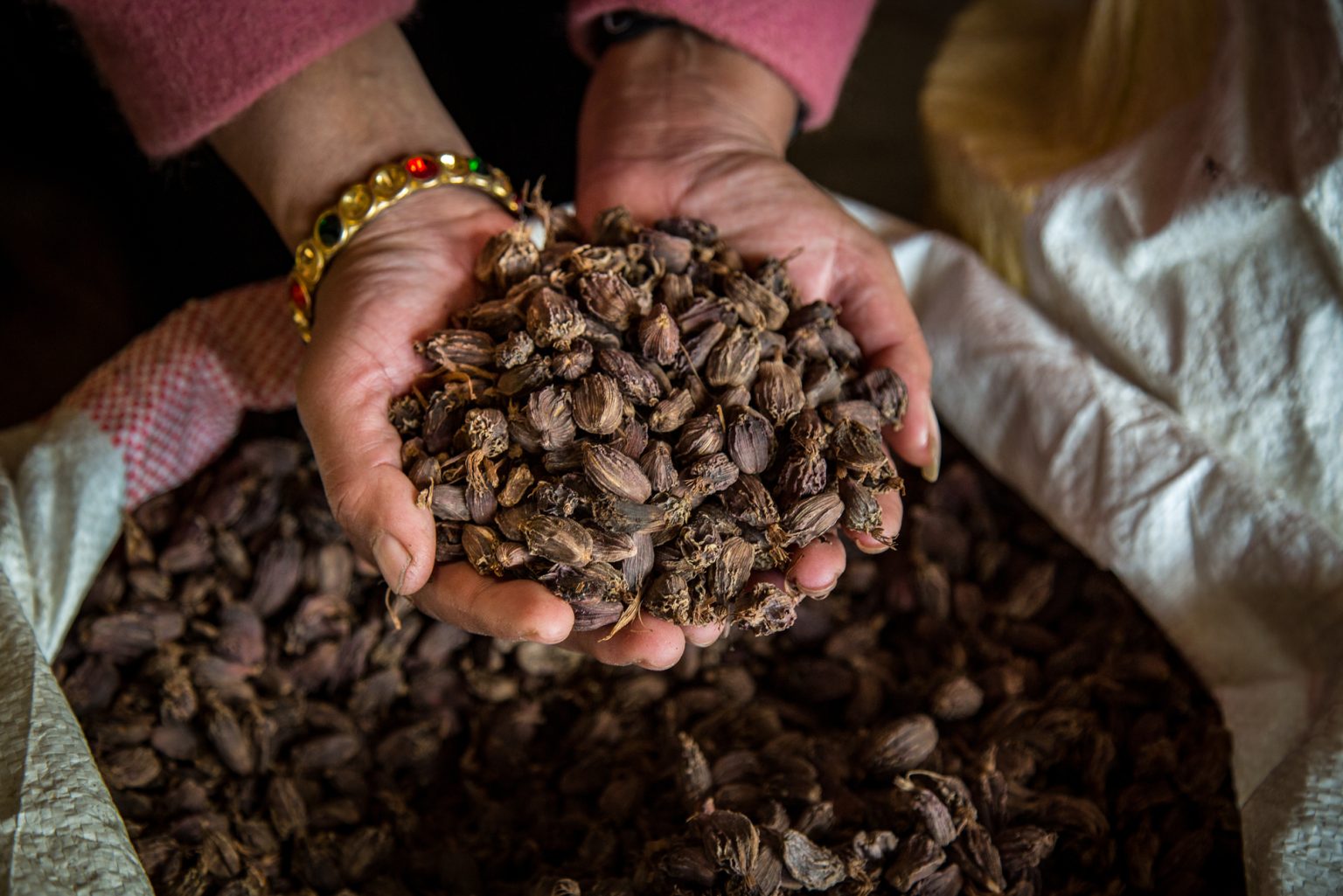 Reviving and sustaining large cardamom production - ICIMOD