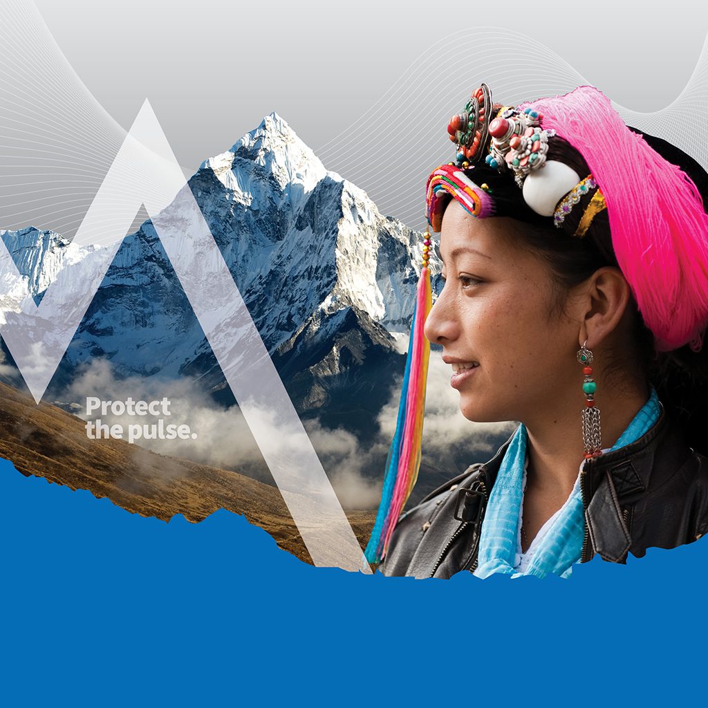 ICIMOD - International Centre for Integrated Mountain Development